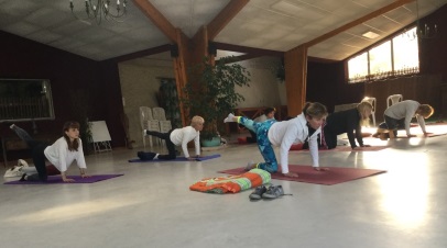 Vini-yoga à Saumur
